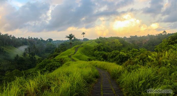 Ubud Guide - the ultimate free travel guide to Ubud